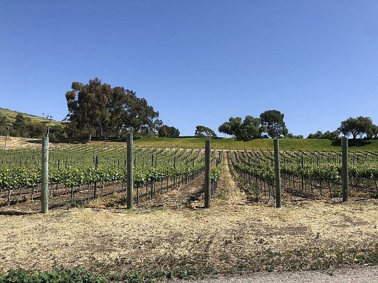 Geo Forward Environmental Sustainability » GEO FORWARD