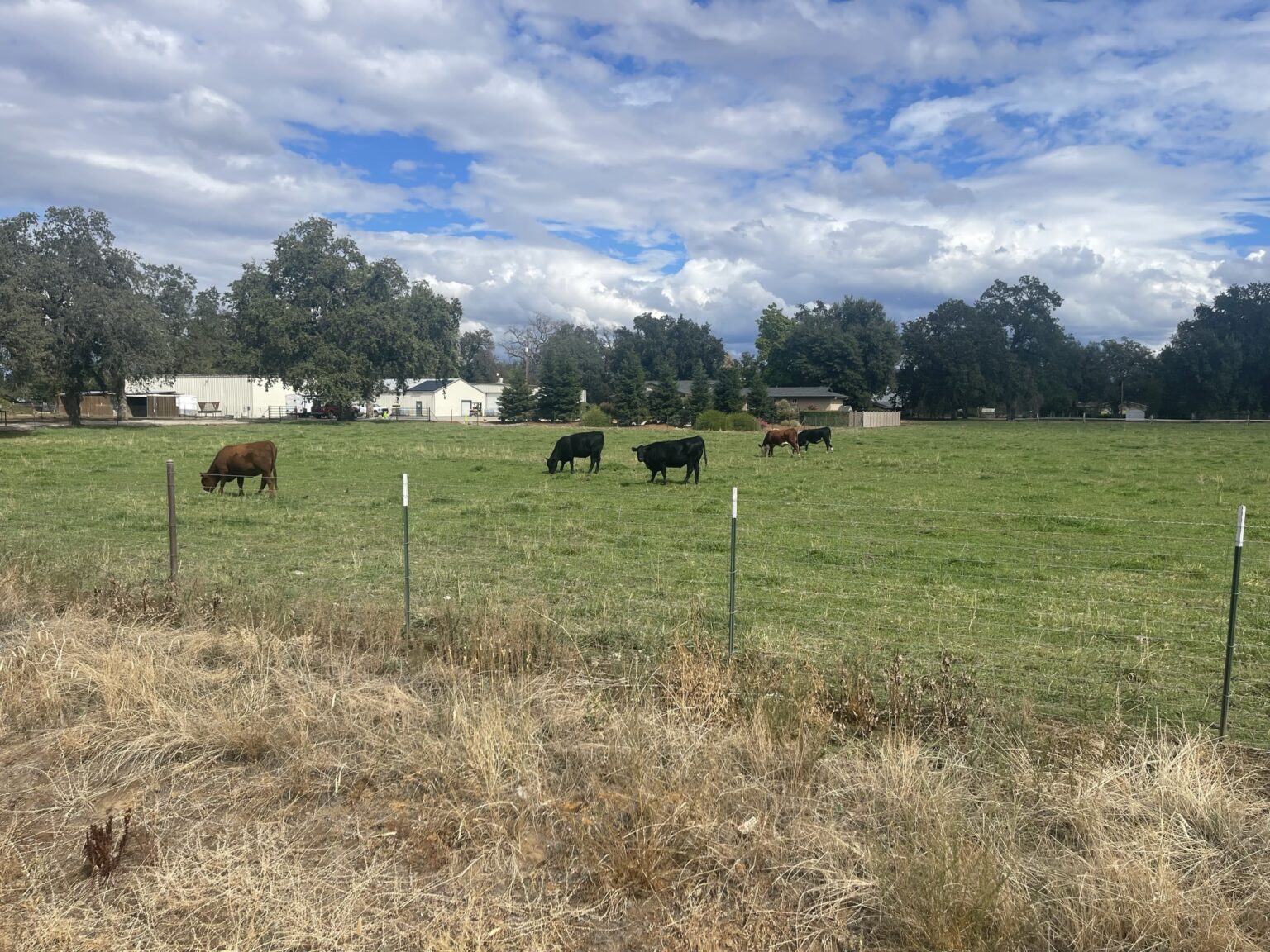 Recognized Environmental Condition (REC) Definition » GEO FORWARD