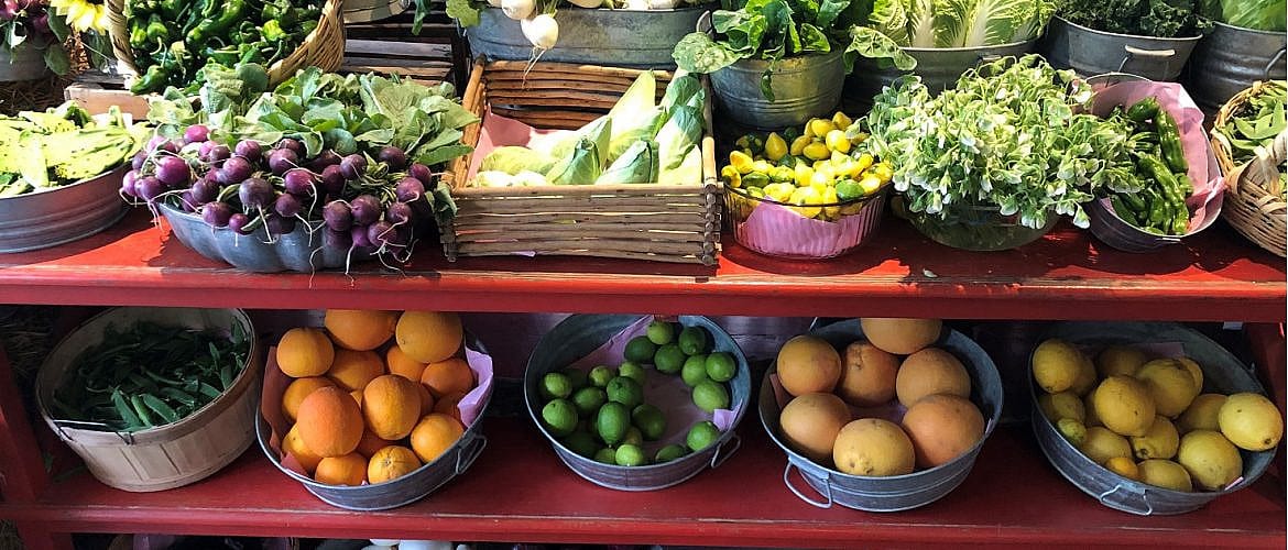 Why Sustainable Agriculture and Farming is Important » Geo Forward